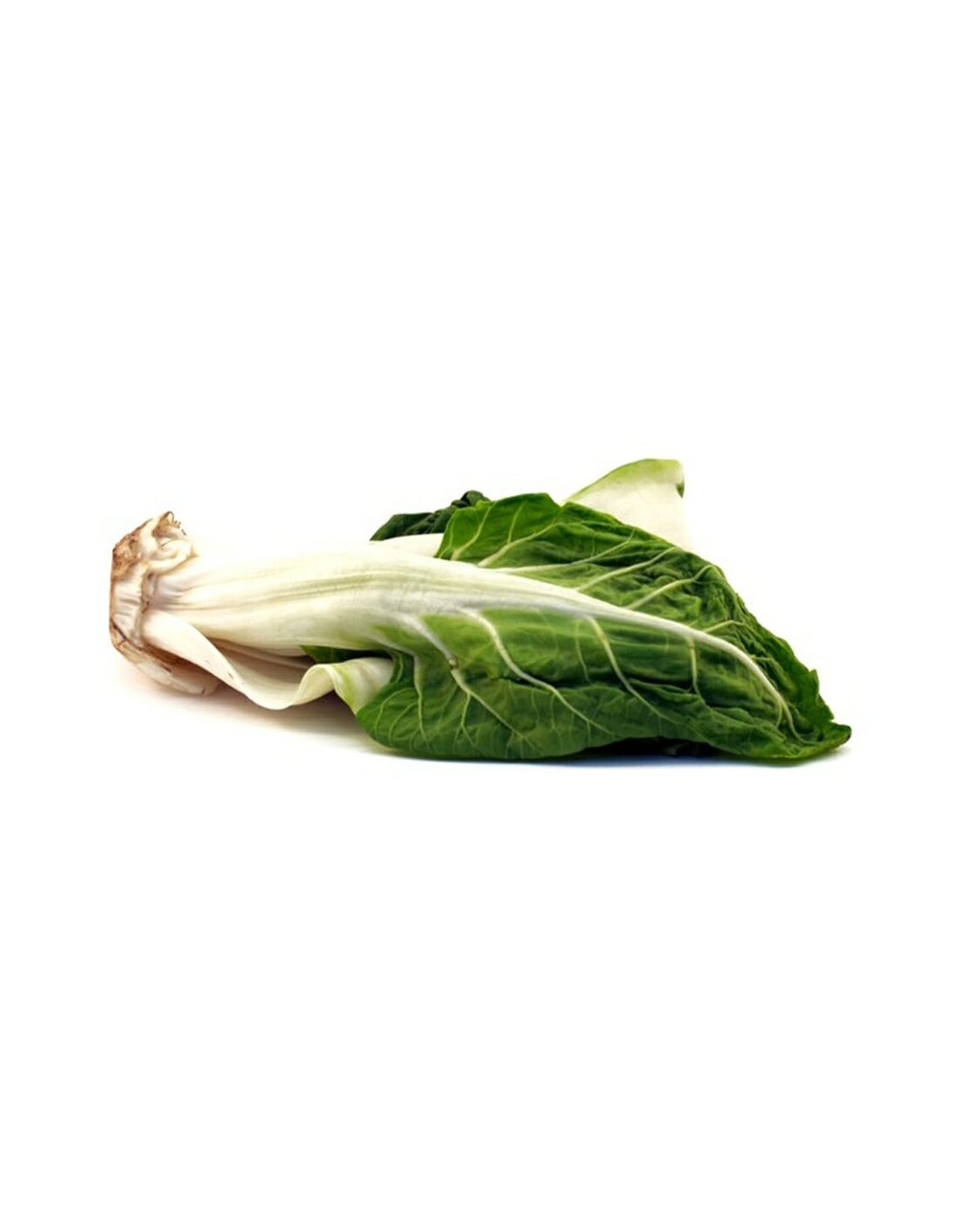 Chard Italy - 1 pc - Free shipping delivered to EUROPE and UK